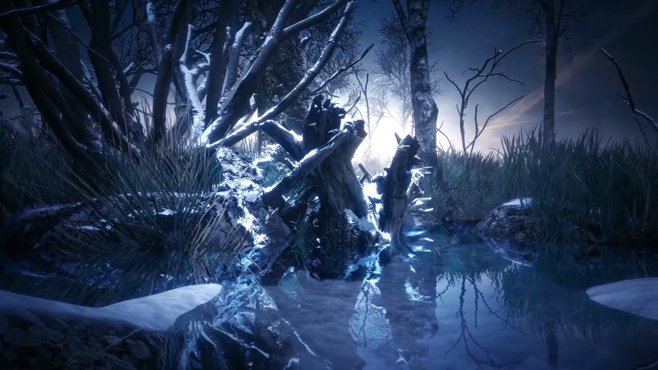 Dark Winter Forest (Flowscape Animation) - YouTube