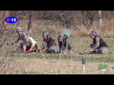 25.03.2017 Tarihinde Yayınlanan \