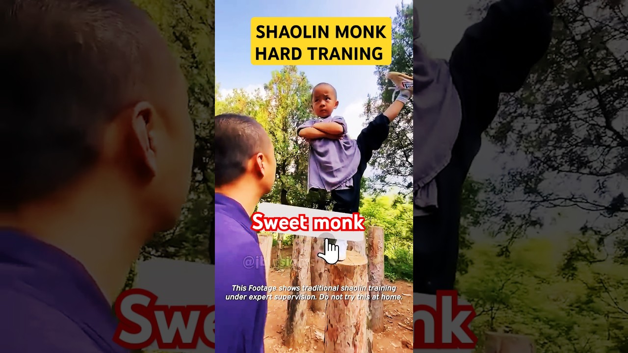 Bodybuilder/ Shaolin monk #shaolin #kungfu #shorts #viralvideo #india # ...