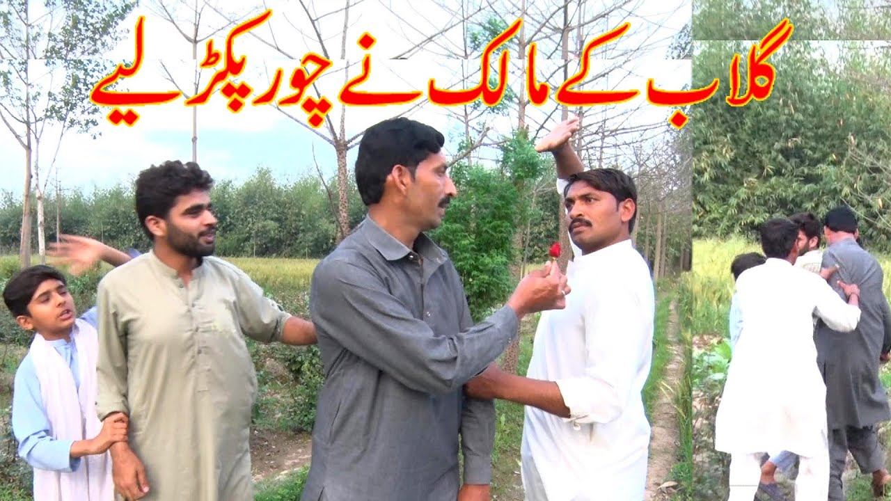 Gulaab ke Malik ne Chor pakar liye@Chor pakar liye@Rizo Vibes Malik ne ...