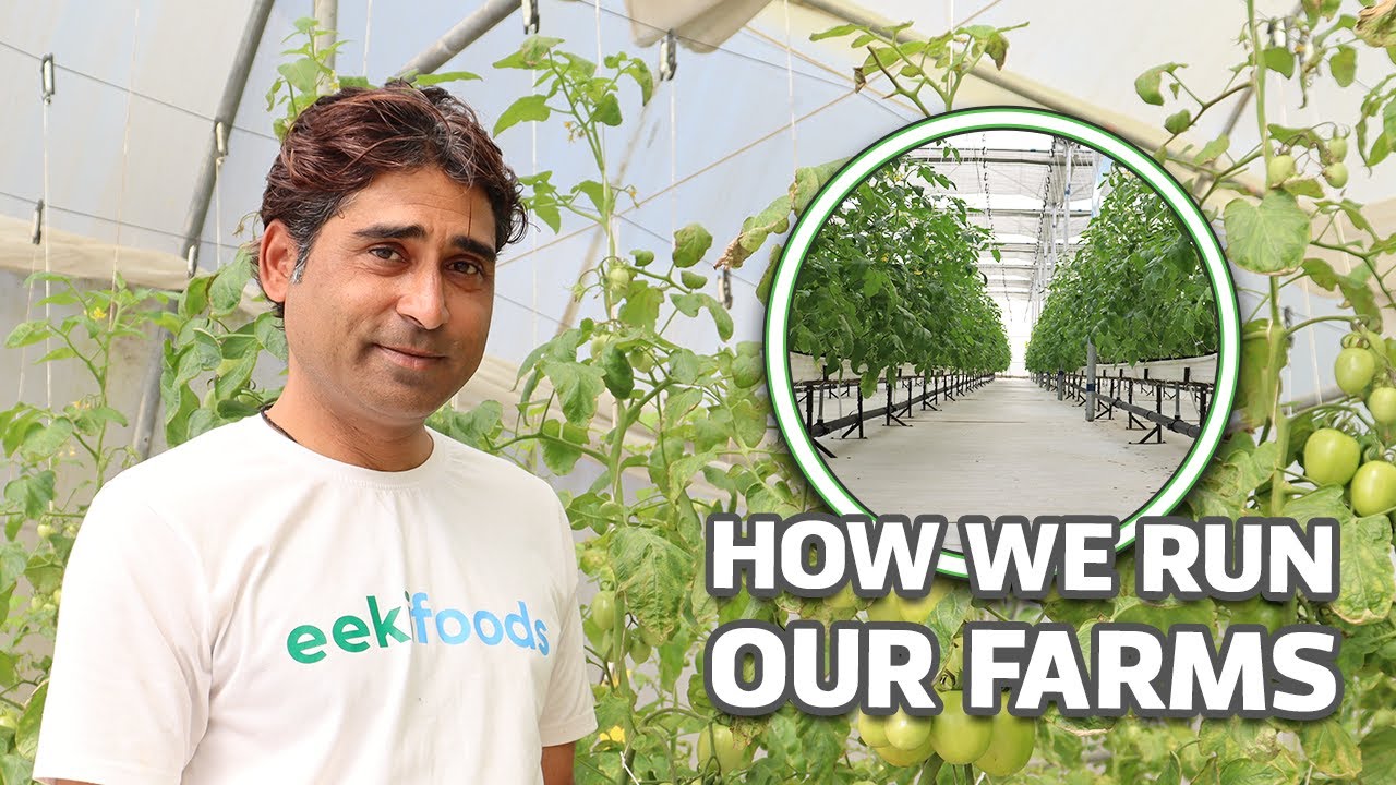 Boost Your AgriTech Operations!⚡Expert Tips from a Seasoned Pro. - YouTube