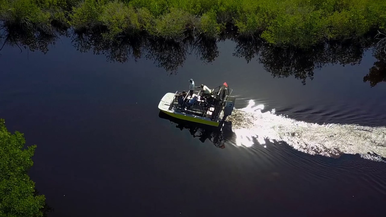 Explore The Florida Everglades on an Airboat and Swamp Buggy - YouTube