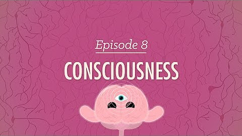 AP Psychology: States of Consciousness - YouTube