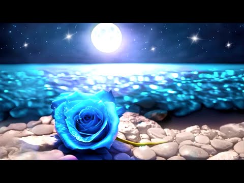 Unlock Inner Peace: Blue Roses Meditation Music | 10 Min of Serene Sea Sounds