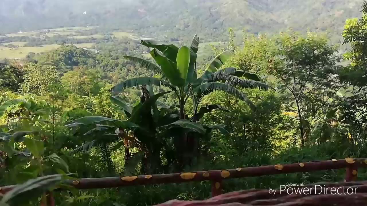 Bosoboso highland 6.20.19 - YouTube