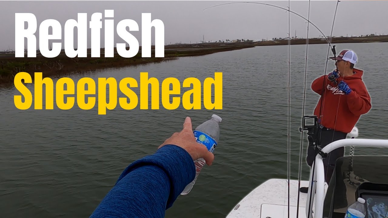 You Can't Win Em All But We Got Some Solids - YouTube