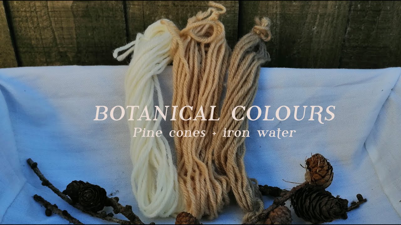 LARCH CONES | HOW to NATURAL DYE using CONIFER CONES | IRON WATER ...