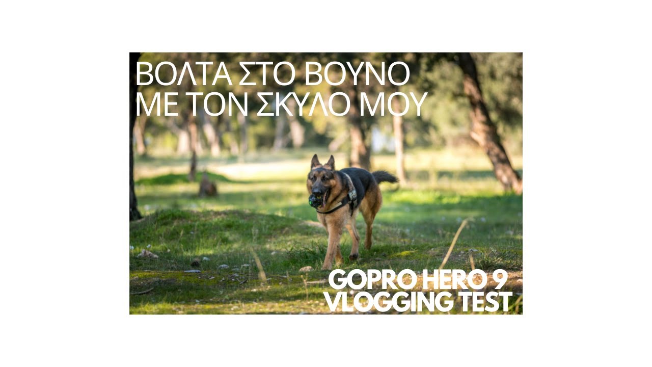 Πρωινη βολτα στο βουνο (GoPro Hero 9 Vlogging) - YouTube