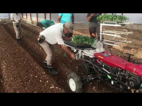 Yanmar PH1 Yarı Otomatik Fide Dikim Makinesi
