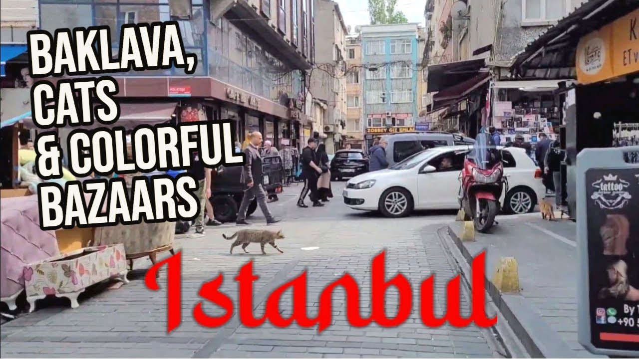 Istanbul Walking Tour - Street Cafés, Cats & Everything in Between ...
