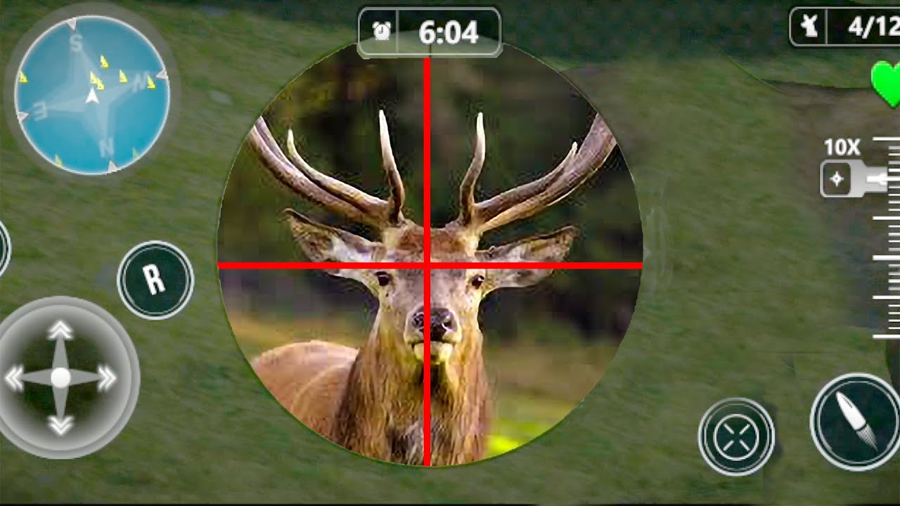 হরিন শিকার করার প্রশিক্ষন Deer Catching Techniques#Deer_hunting #Deer ...