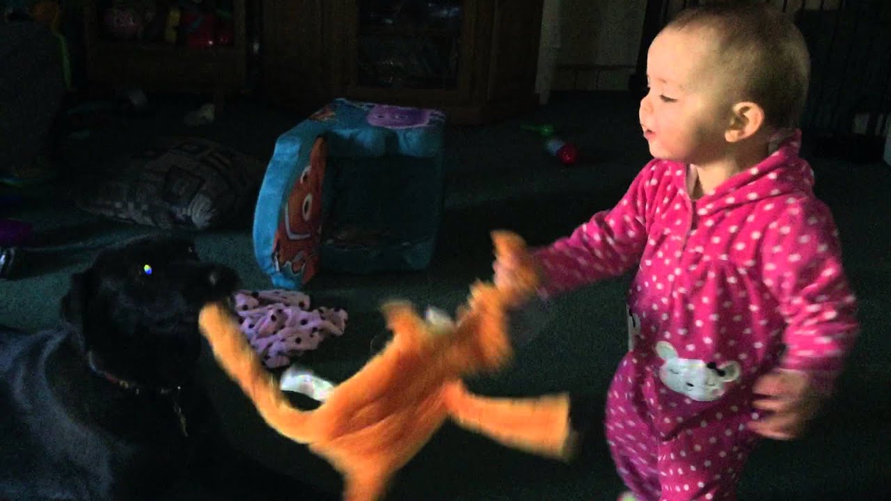Baby VS dog-adorable - YouTube