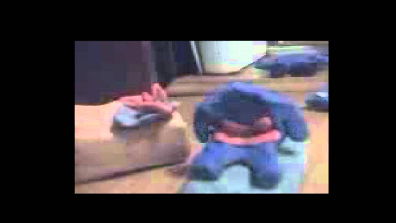 [Klay World 2003] (Original) Dr Bob - YouTube