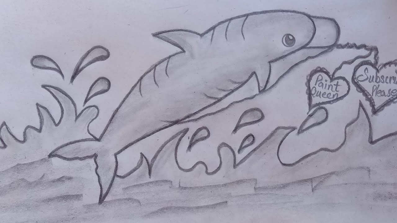 Cute Dolphin drawing|Dolphin drawing shading|Dolphin drawing easy step ...