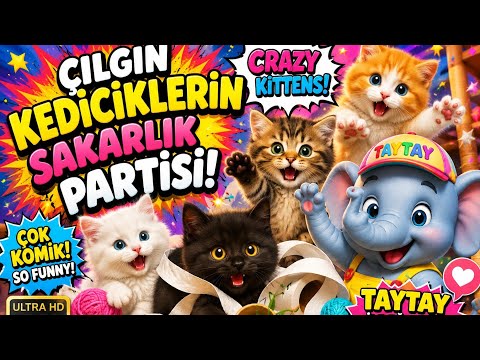 🐈 Funny Cat Videos for Kids | Çılgın Kedicikler Eğlence Zamanı!