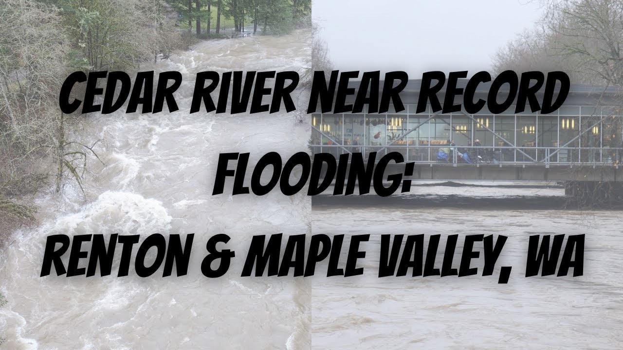 12-12-2025: Renton/Maple Valley, WA: Cedar River Near Record Flooding ...
