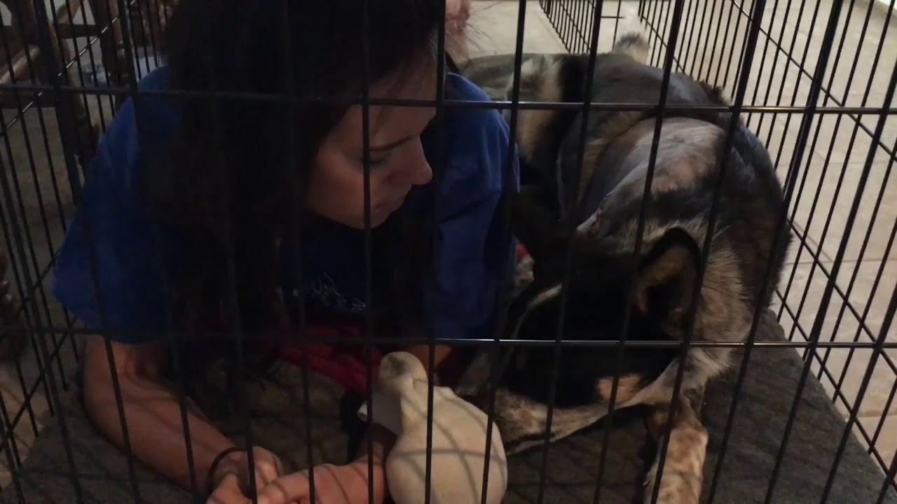 Riley's Surgery 2017 - YouTube