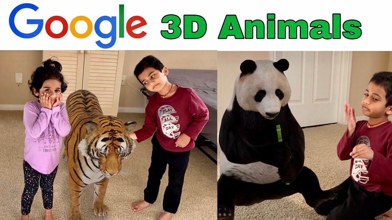 Kids Fun Time with Google 3D Animals | Zoo Animals in Our House | Fun ...