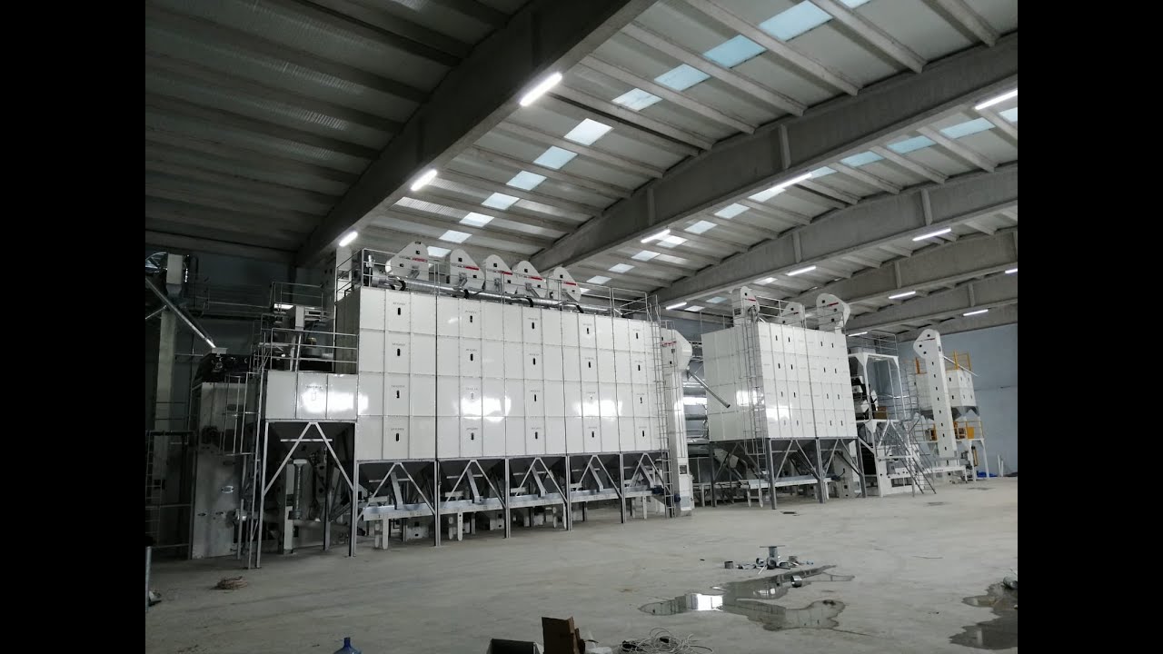 Efficient Sunflower Seed Conditioning Plant: Optimize Quality with ...