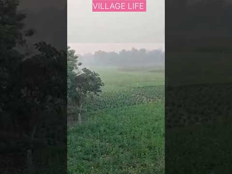 Family love story ❤️🫶🤭 #trendingshorts #familyst #trendingshorts #familystory #varunbundela