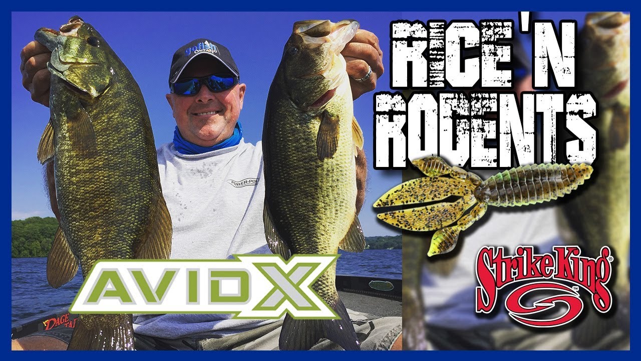 Rice Lake Bass- NEW season teaser-Xtreme Bass Angler - YouTube