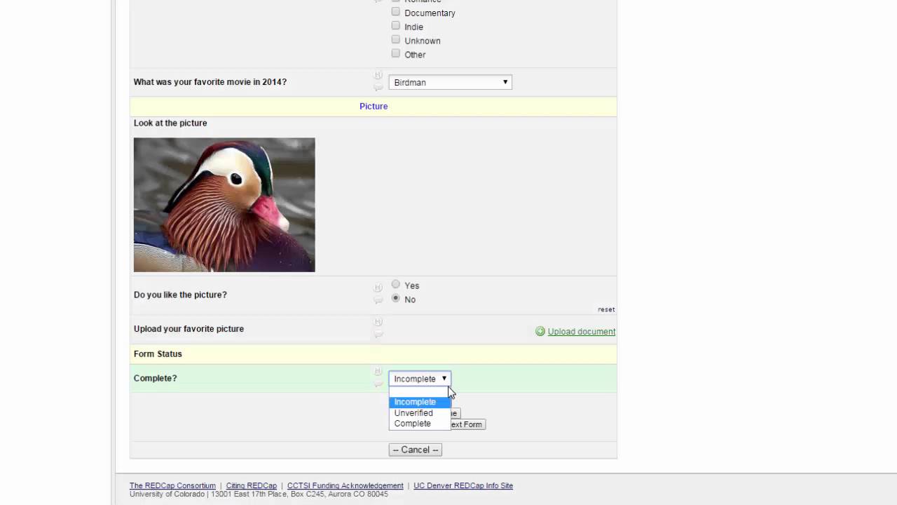2- REDCap Data Entry for Data Entry Accounts - YouTube