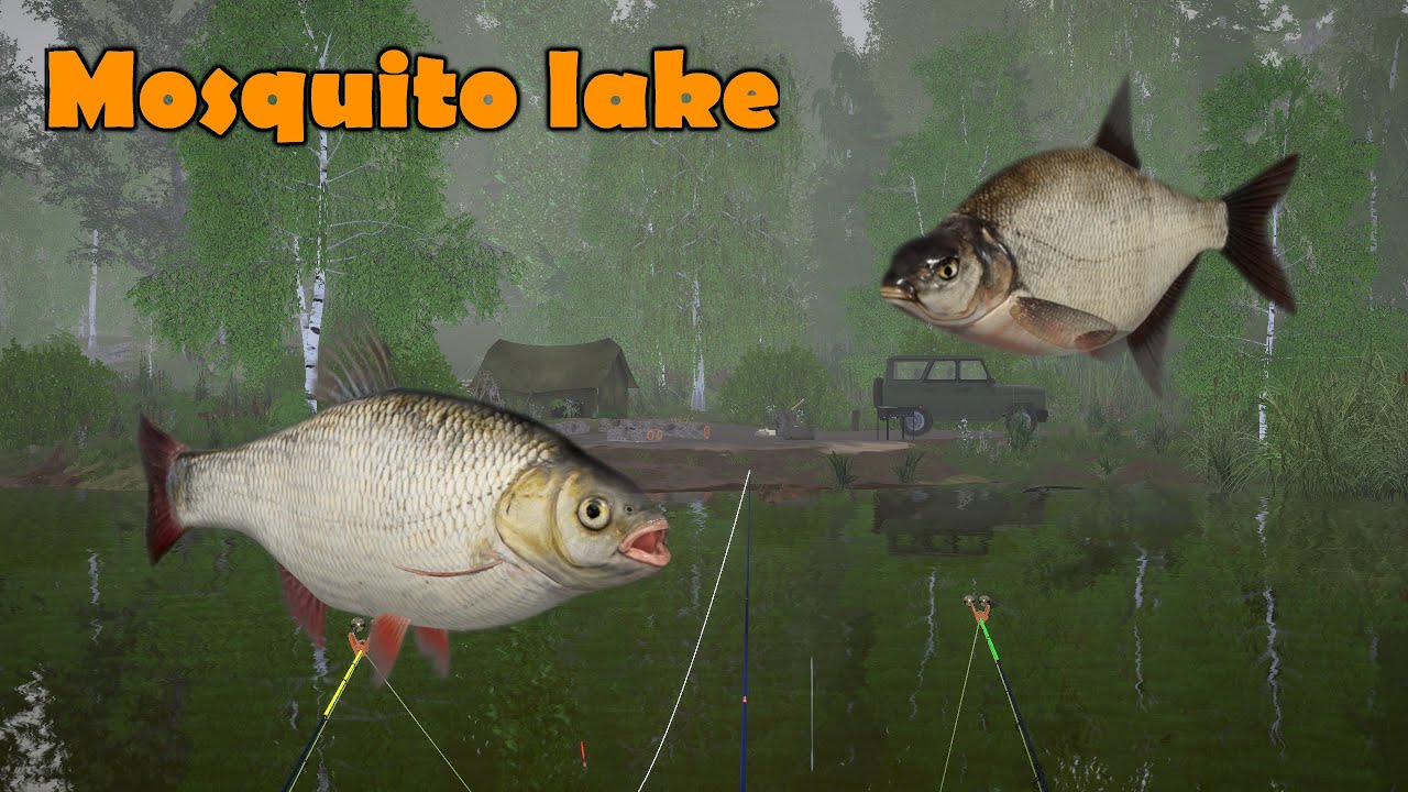 Russian Fishing 4 | Mosquito lake | bream ide | rf4 spot 95 - YouTube