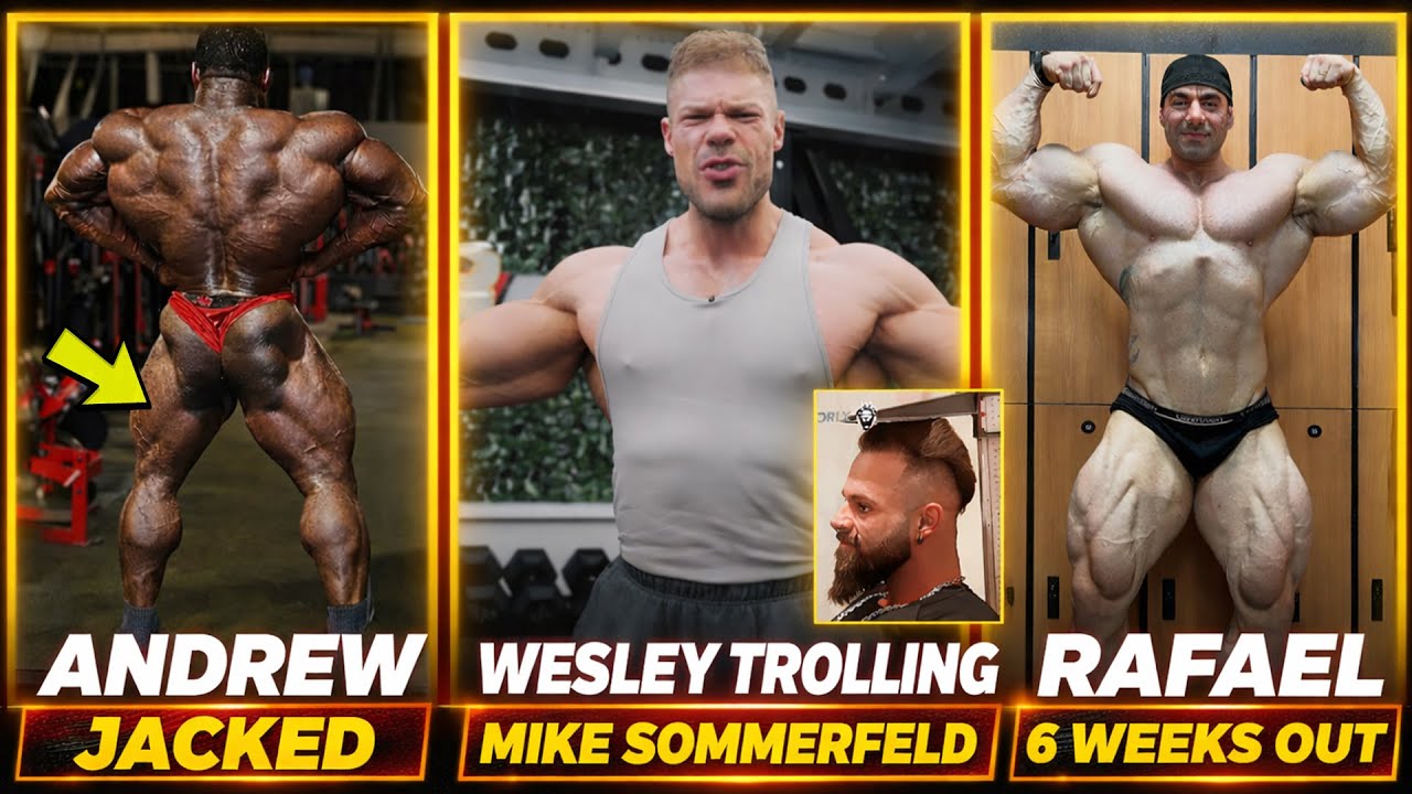 Wesley Vissers TROLLING Mike Sommerfeld + Andrew Jacked BACK UPDATE ...