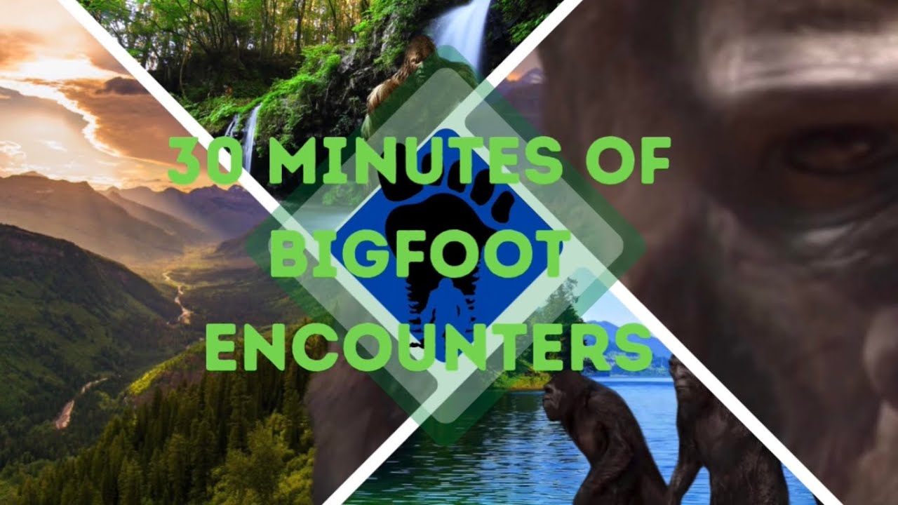 6 Stories of Bigfoot Encounters!!! - YouTube
