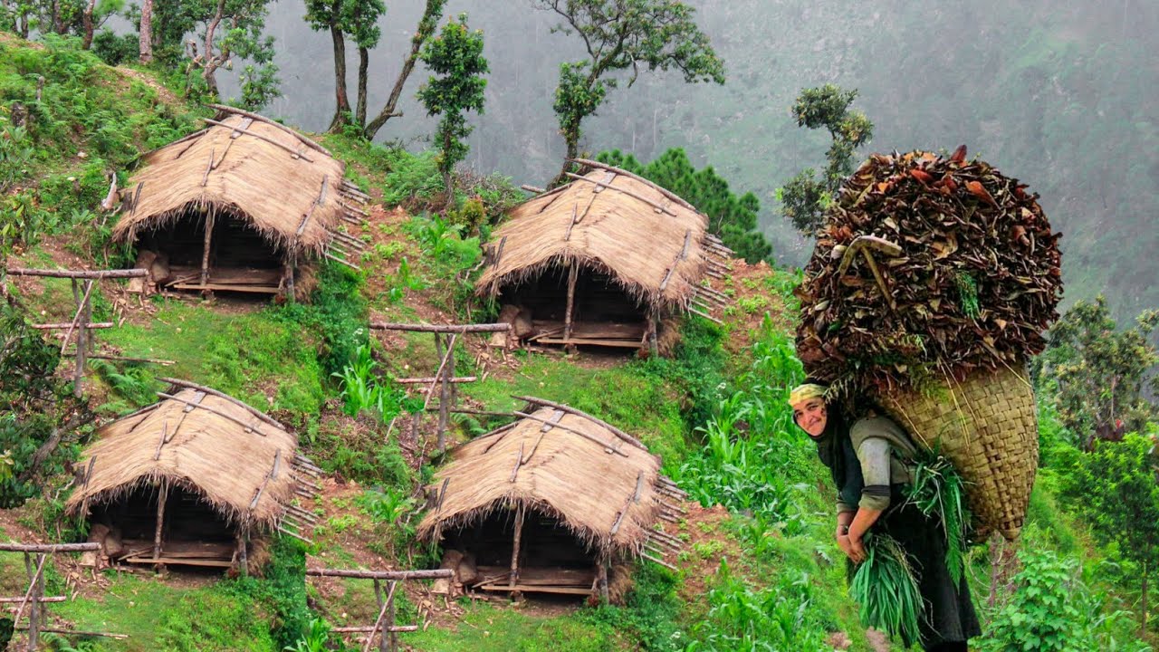 Naturally Peaceful And Beautiful Himalayan Mountain Village Life in ...