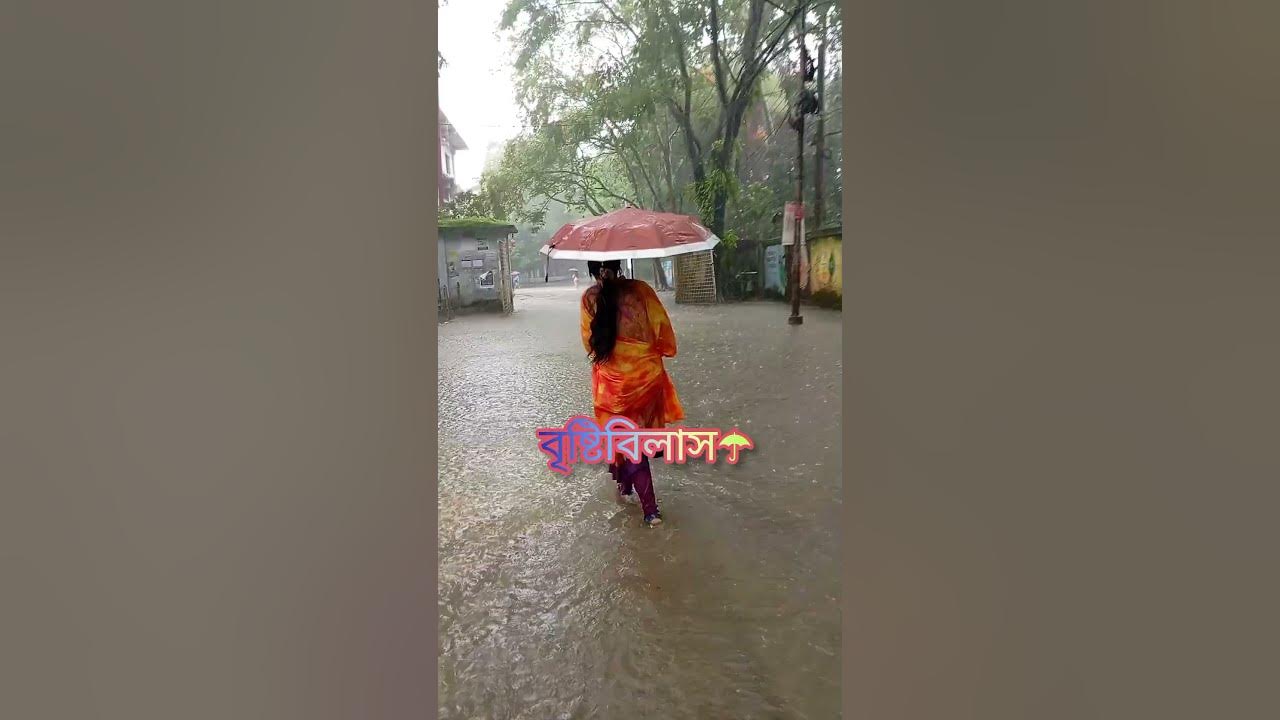 একটা বৃষ্টিস্নাত সকাল☂️🌨️ আর আমরা👭। সৌমি!😊#rainyday #rain #rainsounds #youtubeshorts #shortsfeed ...