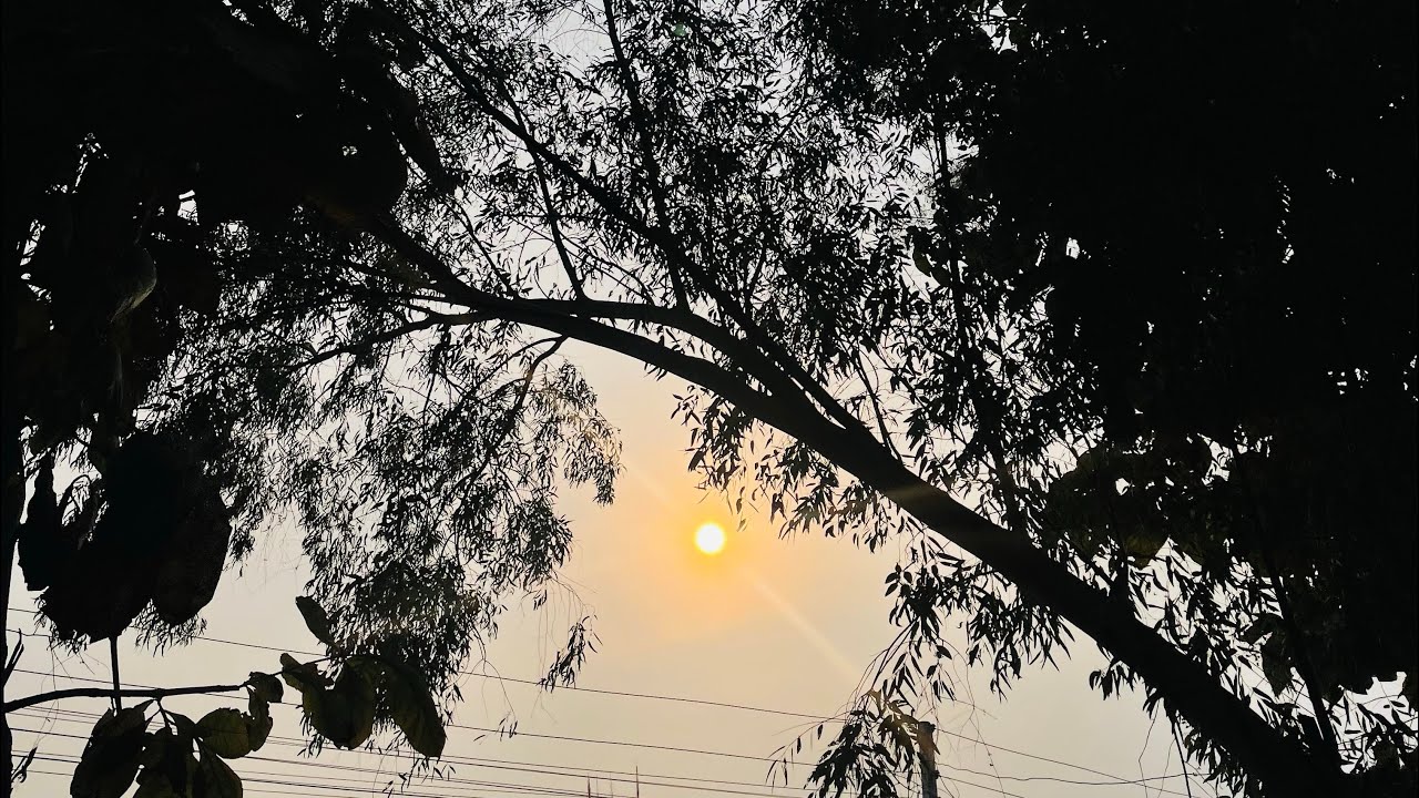 Ready for Nepex showdown🤩 - YouTube