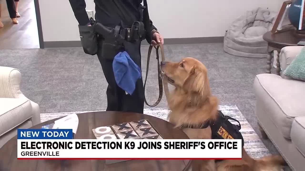 Electronic detection K9 joins sheriff's office - YouTube