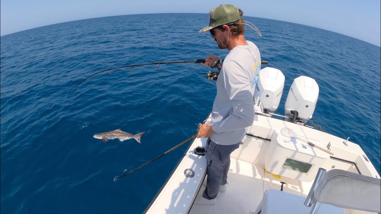 EP.20 | COBIA SEARCHING - YouTube