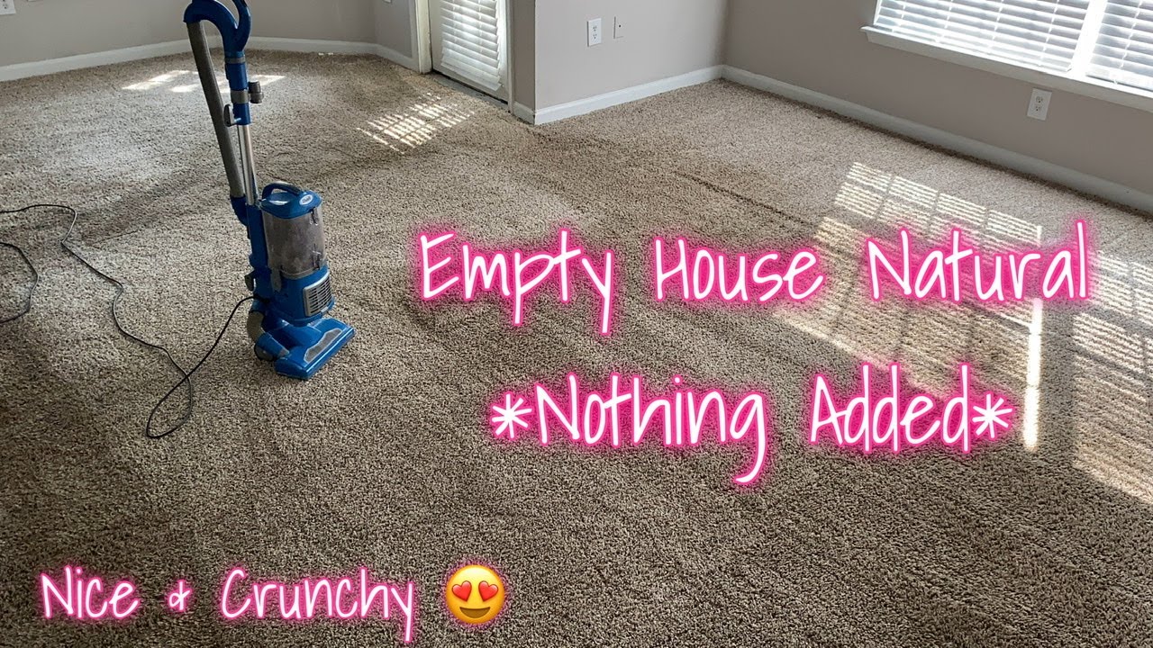 Empty House Natural 🏡😍 100% Natural Nothing Added | Shark Vacuum (read ...