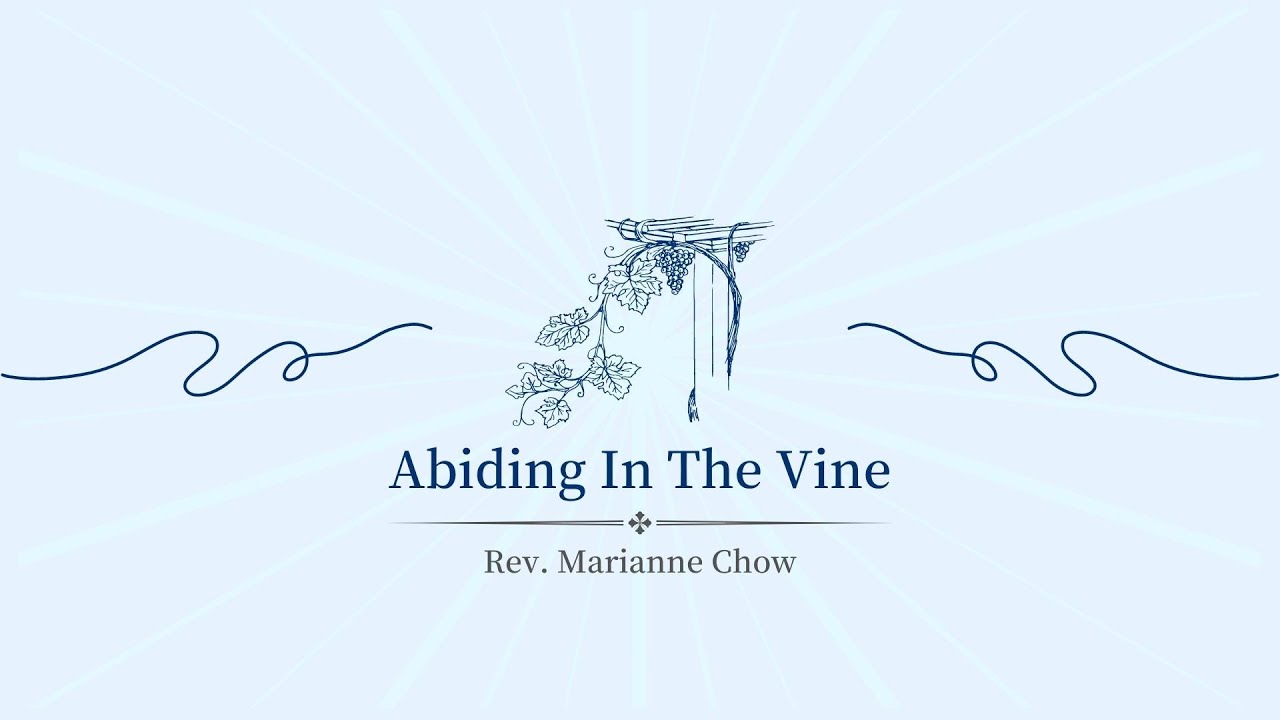 Daily Devotion Insight | Abiding In The Vine by Rev. Marianne Chow ...