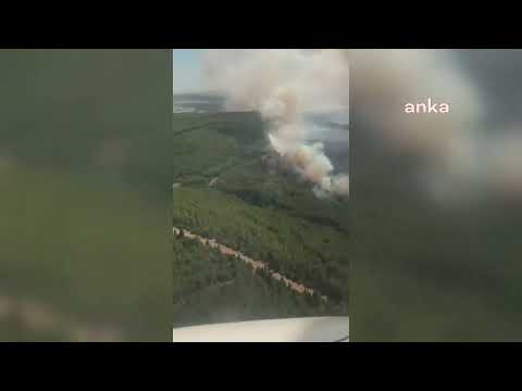 İzmir'in Menderes ve Aliağa ilçelerinde orman yangını