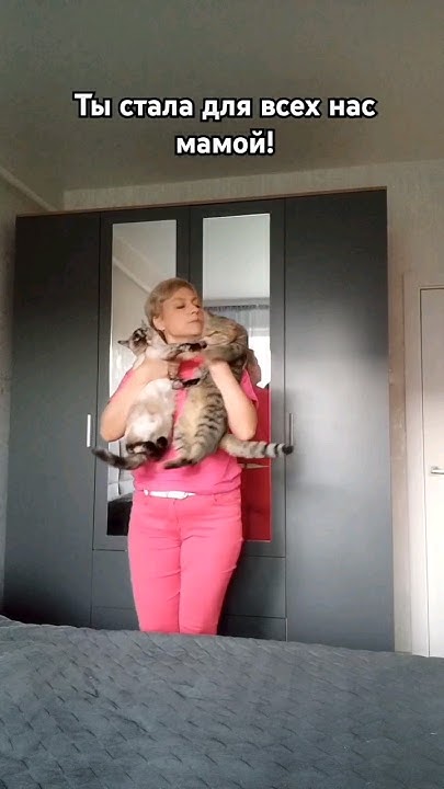 Спасение брат,сестра #тренд #кот - YouTube