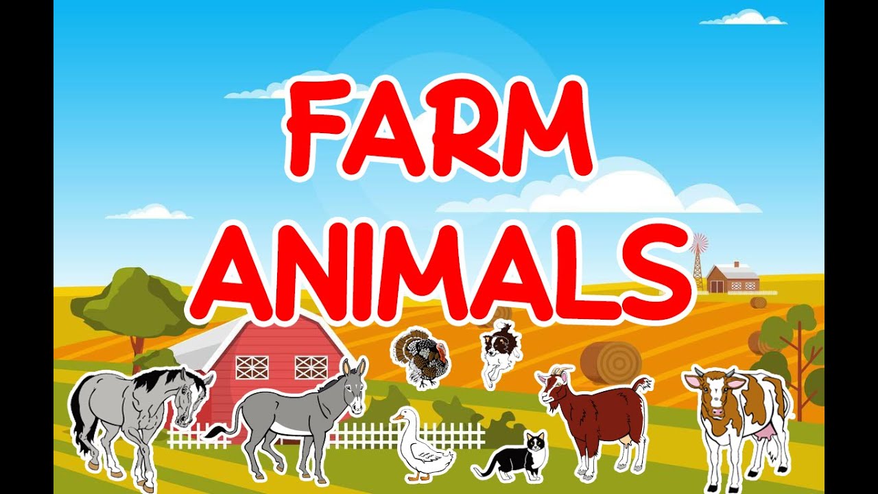 Farm Animals Sounds - YouTube