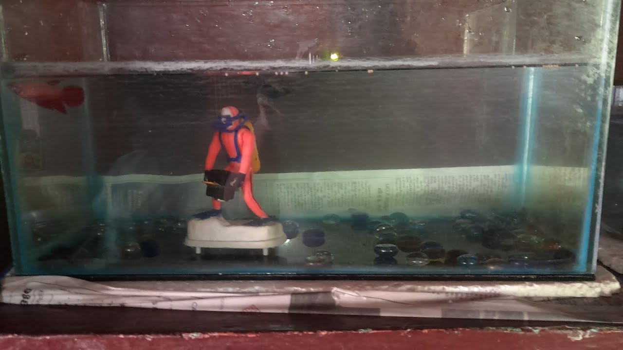 Fish tank sand setup - YouTube