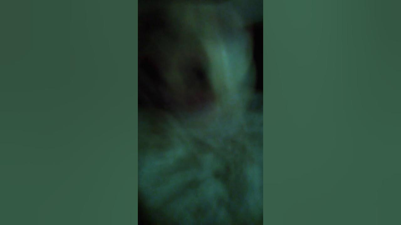 Selé selé ma mama selé - YouTube