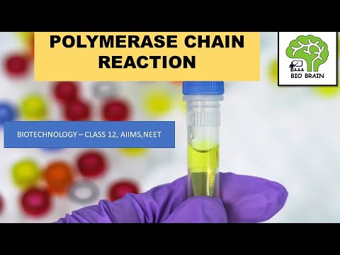 PCR- Polymerase Chain Reaction #Biotechnology #NCERT Biology #class 12# ...