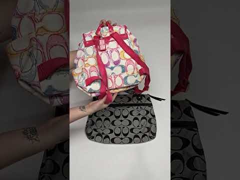 Coach Bags C0401506-16 16 pcs 15 lbs Wholesale at Tiedemann Globe