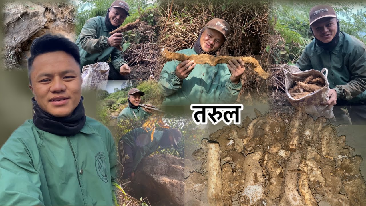 Tarul kati khanyo holata? || Dailyvlogs:13 || Gorevlogs || - YouTube