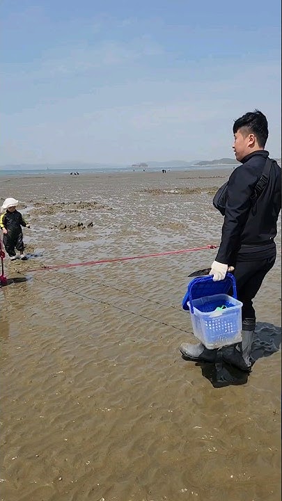 아빠와안면도 갯벌 조개잡기 핫템이라는데 정말 잘잡히고 애들은 오래가지못하고 바로 갯벌수영ㅋㅋㅋ Youtube