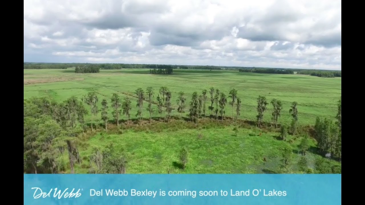New Homes in Tampa Florida - Del Webb Bexley by Del Webb - YouTube