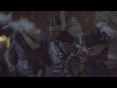 PRIMOSUX - Wild 1ne (Music Video) - YouTube