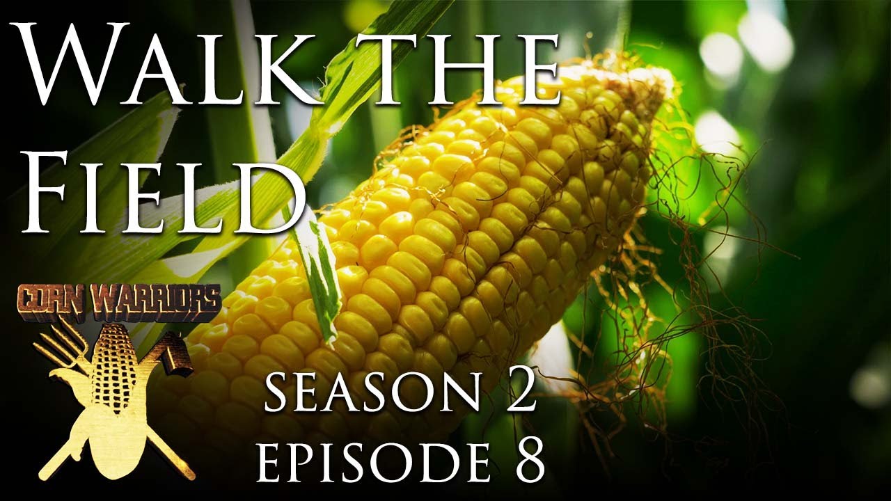 Corn Warriors - 208 - Walk The Field - YouTube