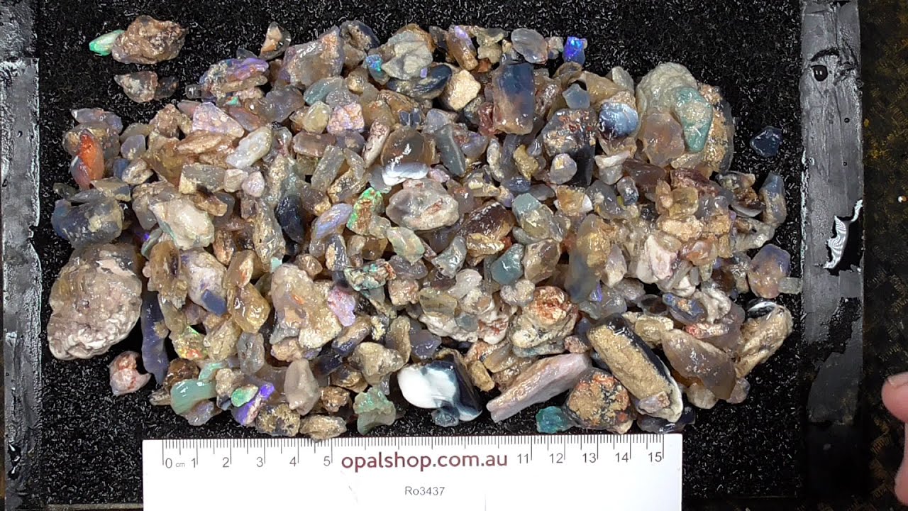 Ro3437 - Opalised fossils from Lightning Ridge Australia - YouTube
