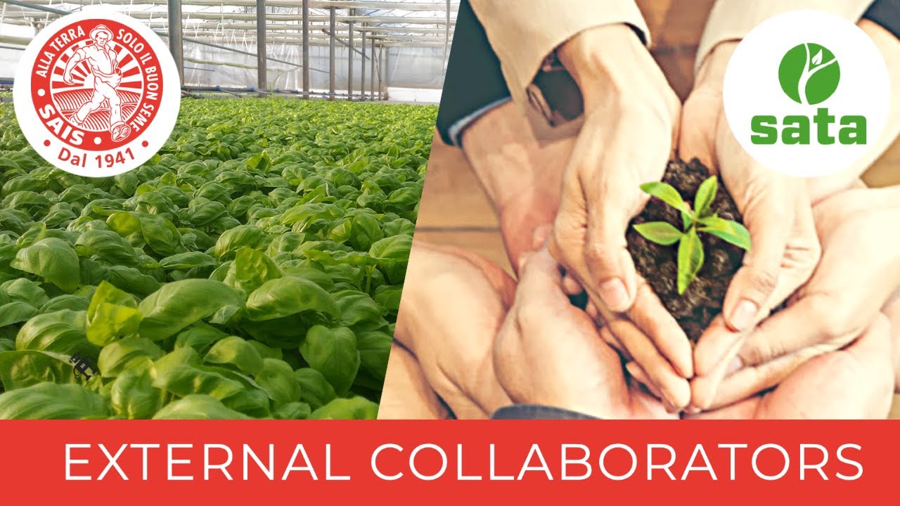 SATA S.r.l. - External collaborators - YouTube